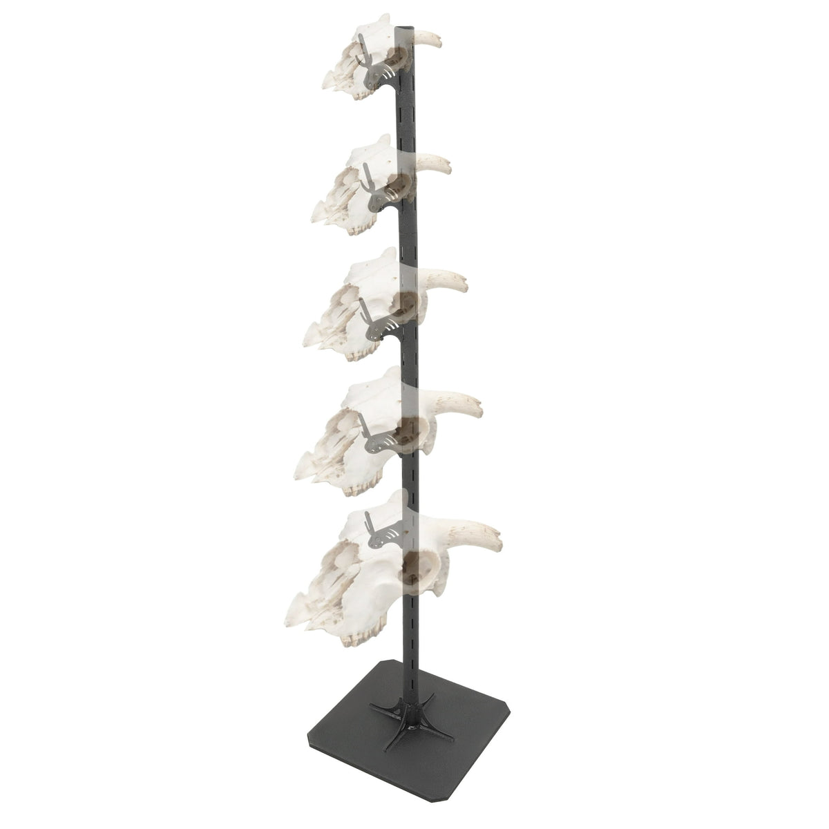 Kojem 6 Feet Skulls Hanger Trophy Tree European Trophy Stand Skulls Di ...